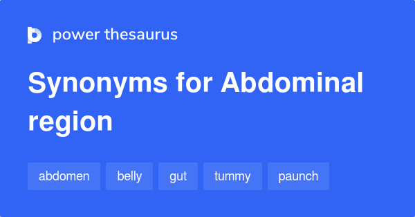 Abdominal Region synonyms - 95 Words and Phrases for Abdominal Region