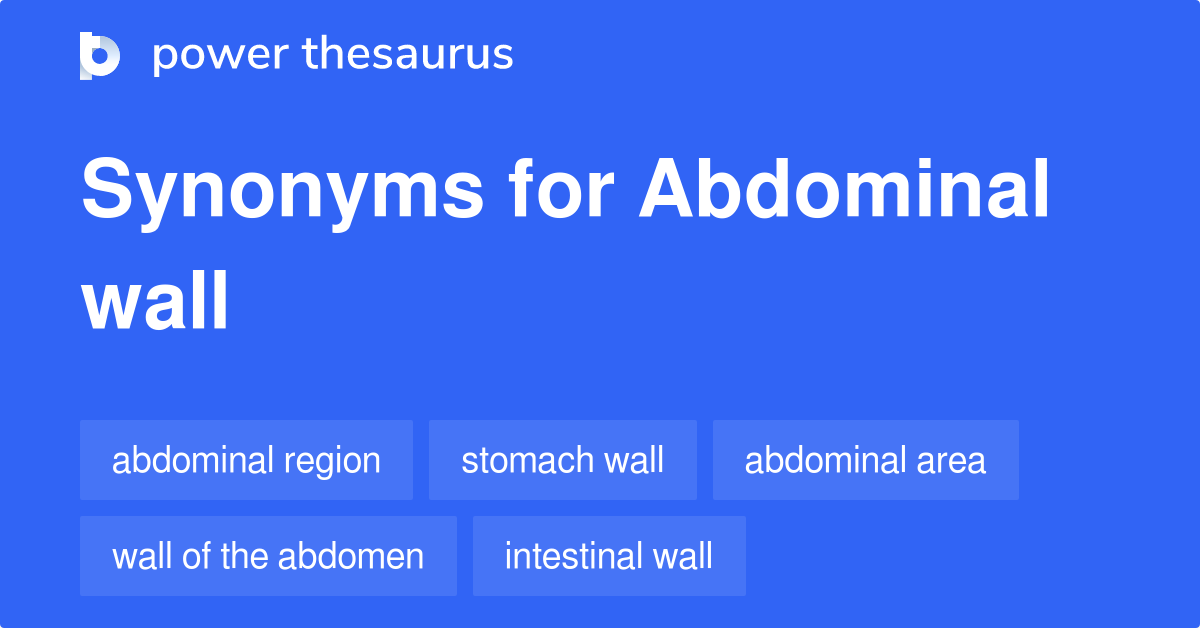 Abdominal Wall synonyms - 82 Words and Phrases for Abdominal Wall