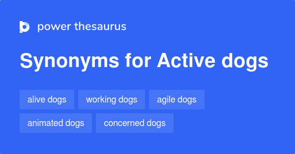 Active Dogs synonyms - 38 Words and Phrases for Active Dogs