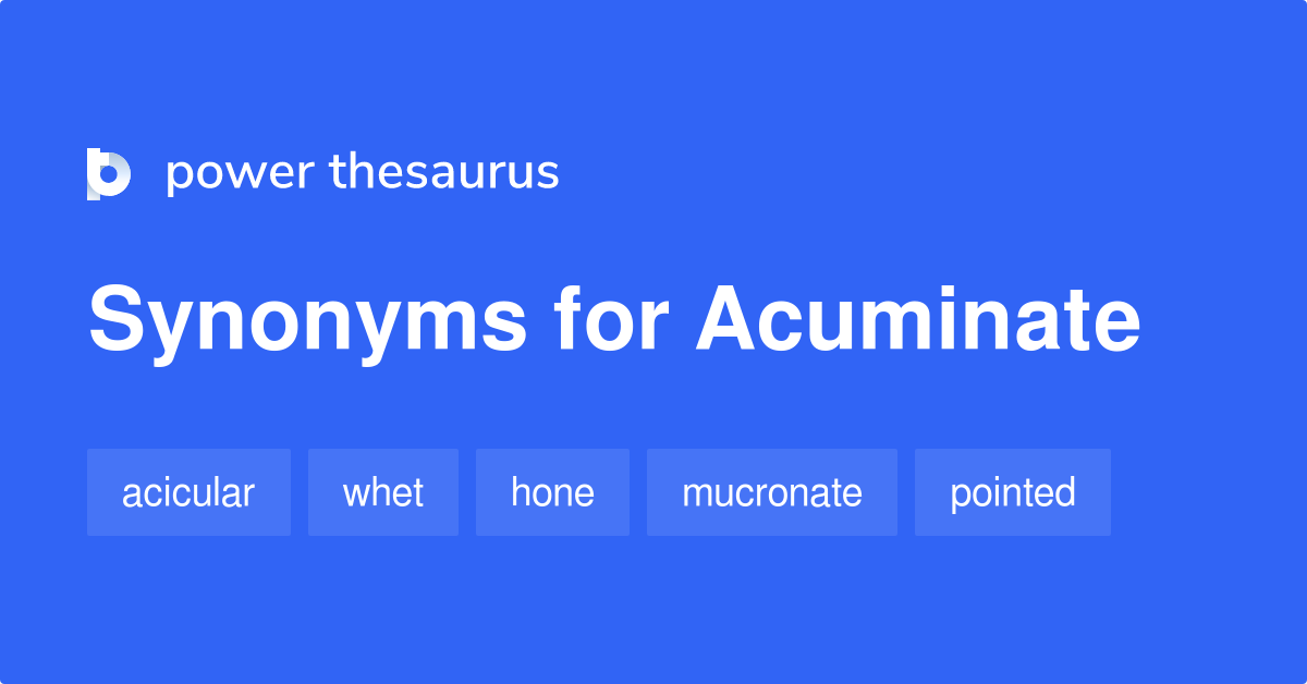 ACUMINATE Synonyms: 319 Similar Words & Phrases