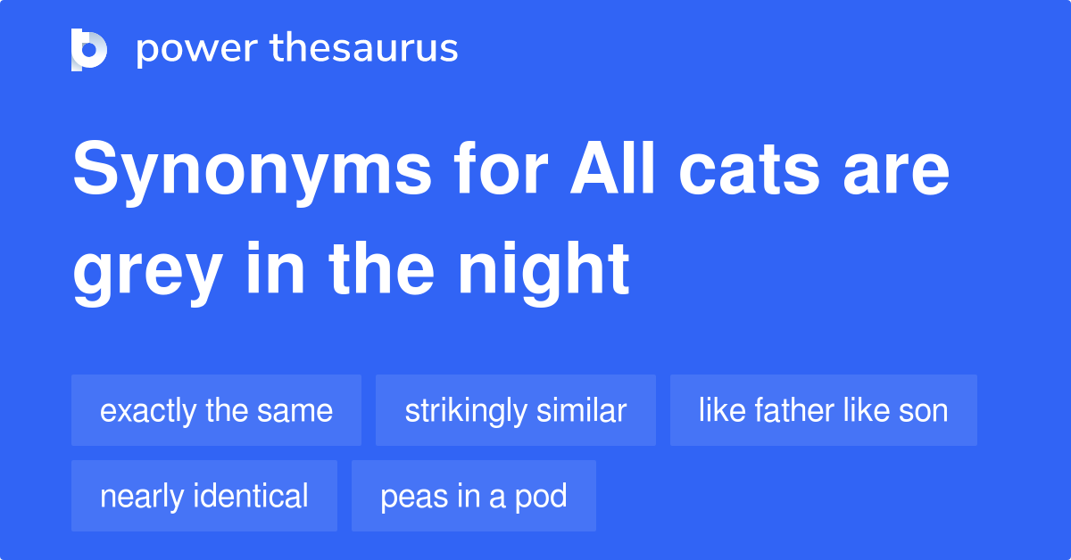 ALL CATS ARE GREY IN THE NIGHT Synonyms: 86 Similar Words & Phrases