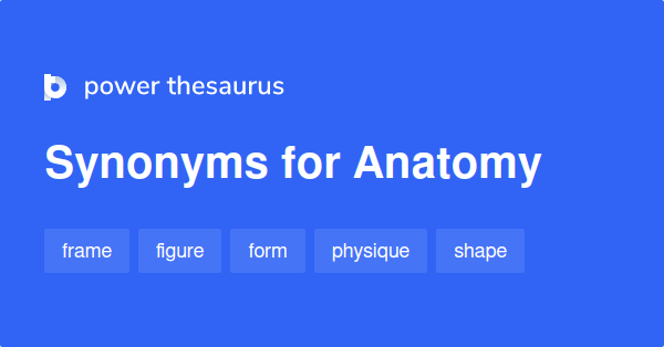 ANATOMY Synonyms: 600 Similar Words & Phrases
