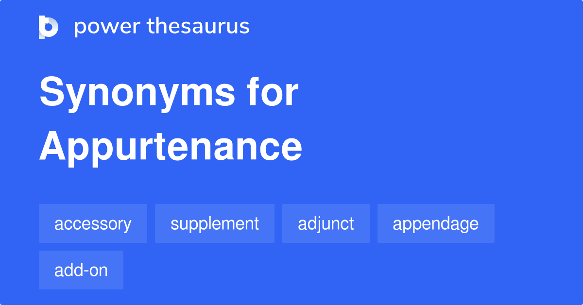 APPURTENANCE Synonyms: 338 Similar Words & Phrases