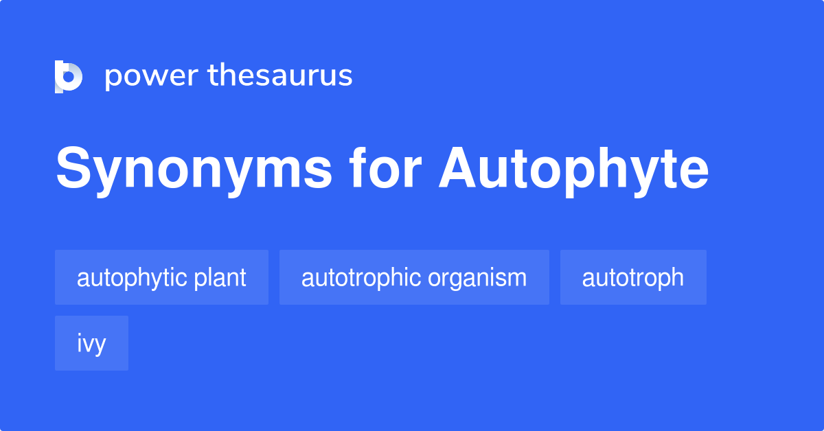 Autophyte synonyms - 36 Words and Phrases for Autophyte