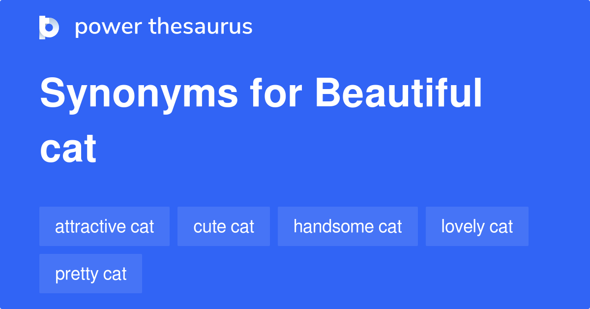 BEAUTIFUL CAT Synonyms: 29 Similar Phrases