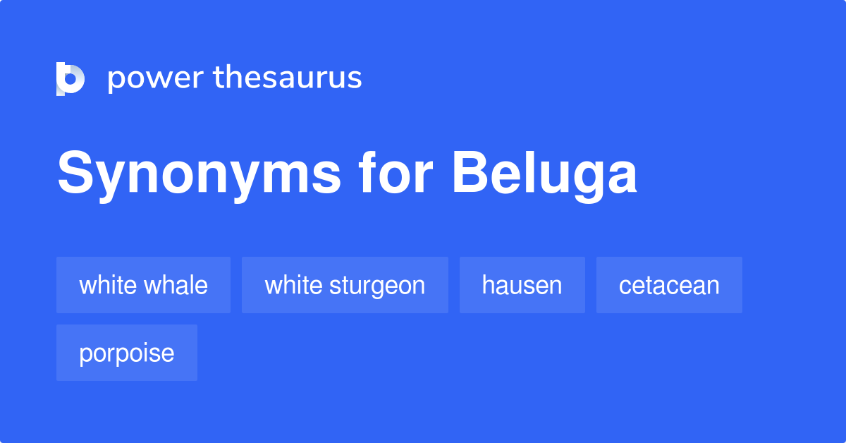 BELUGA Synonyms: 117 Similar Words & Phrases