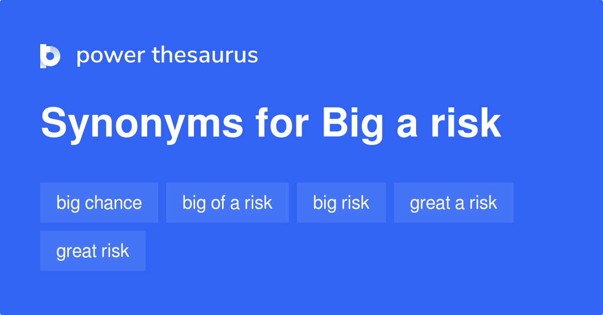 Big A Risk synonyms - 30 Words and Phrases for Big A Risk