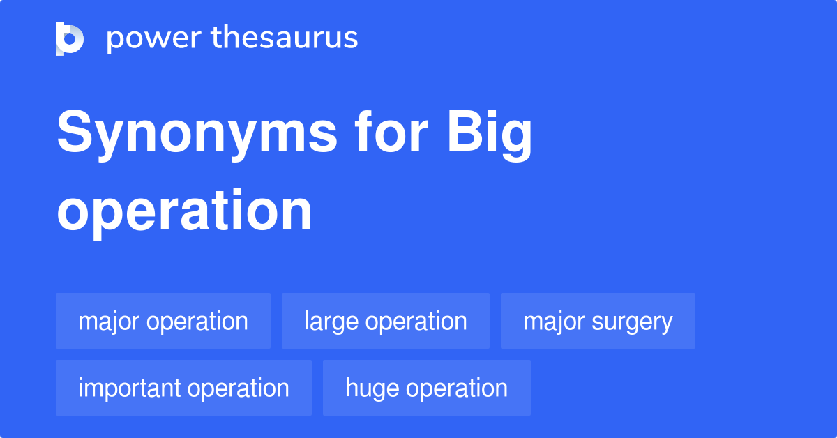 Big Operation synonyms - 77 Words and Phrases for Big Operation