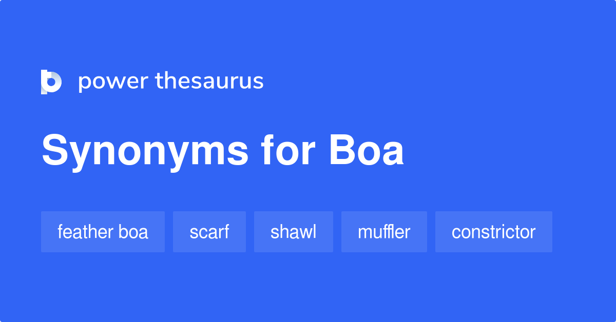 BOA Synonyms: 150 Similar Words & Phrases