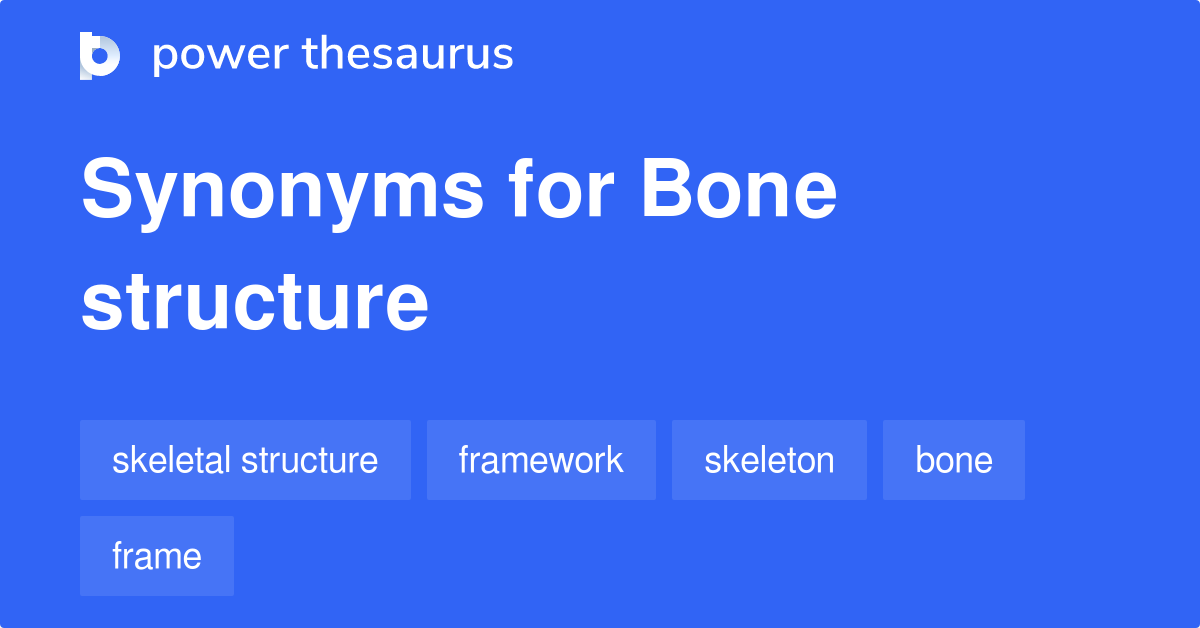 BONE STRUCTURE Synonyms: 190 Similar Words & Phrases