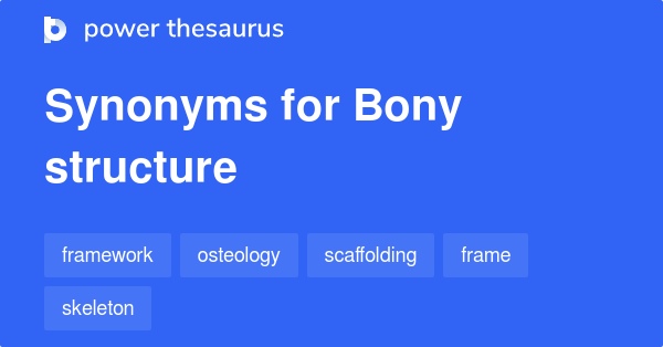 BONY STRUCTURE Synonyms: 105 Similar Words & Phrases