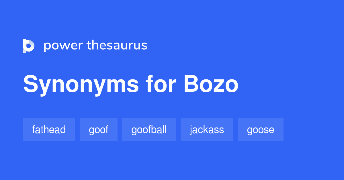 BOZO Synonyms: 460 Similar Words & Phrases