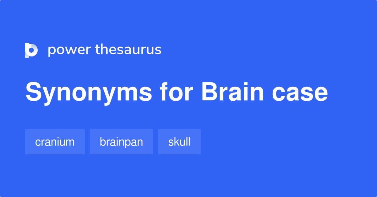 Brain Case synonyms - 10 Words and Phrases for Brain Case