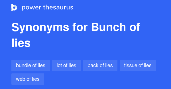 28 BUNCH OF LIES Synonyms