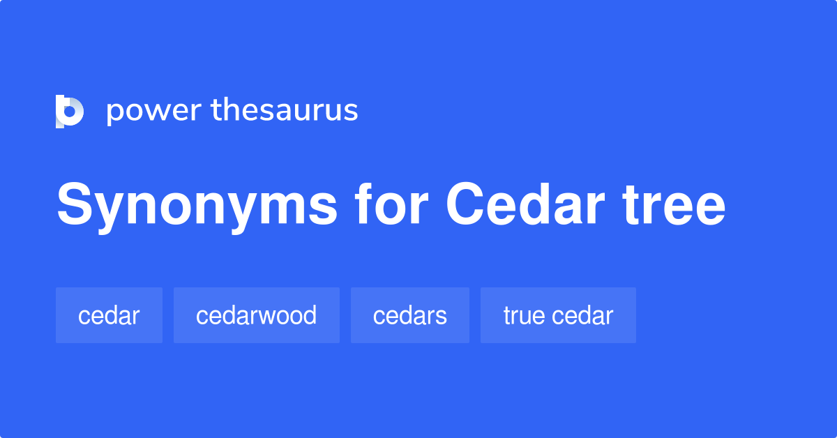 CEDAR TREE Synonyms: 125 Similar Words & Phrases
