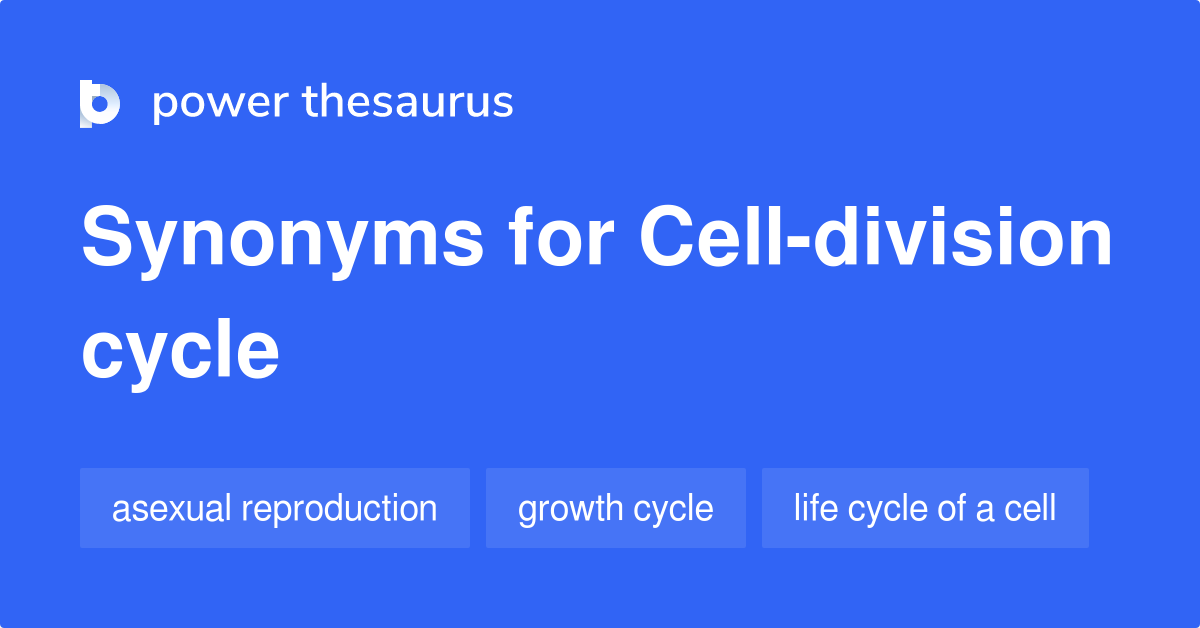 Cell-division Cycle synonyms - 5 Words and Phrases for Cell-division Cycle