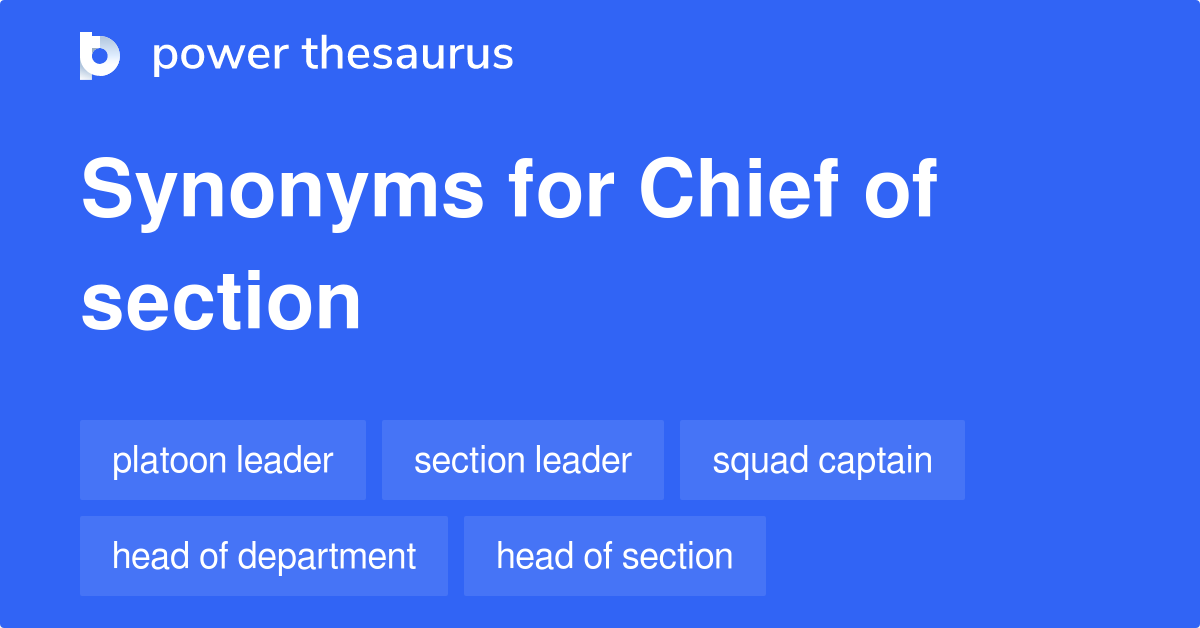 Chief Of Section synonyms - 76 Words and Phrases for Chief Of Section