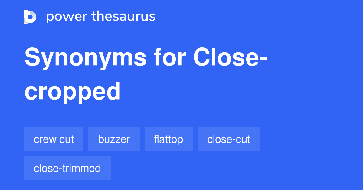 Close-cropped synonyms - 80 Words and Phrases for Close-cropped