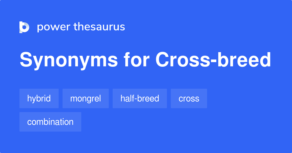 Cross-breed synonyms - 93 Words and Phrases for Cross-breed