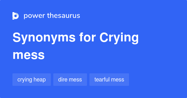 CRYING MESS Synonyms: 31 Similar Phrases