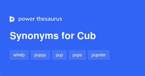 Cub synonyms - 678 Words and Phrases for Cub