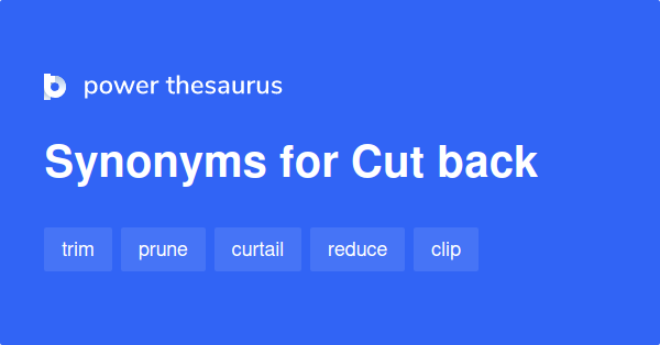 CUT BACK Synonyms: 1 080 Similar Words & Phrases