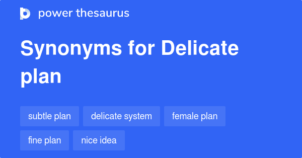 Delicate Plan synonyms - 10 Words and Phrases for Delicate Plan