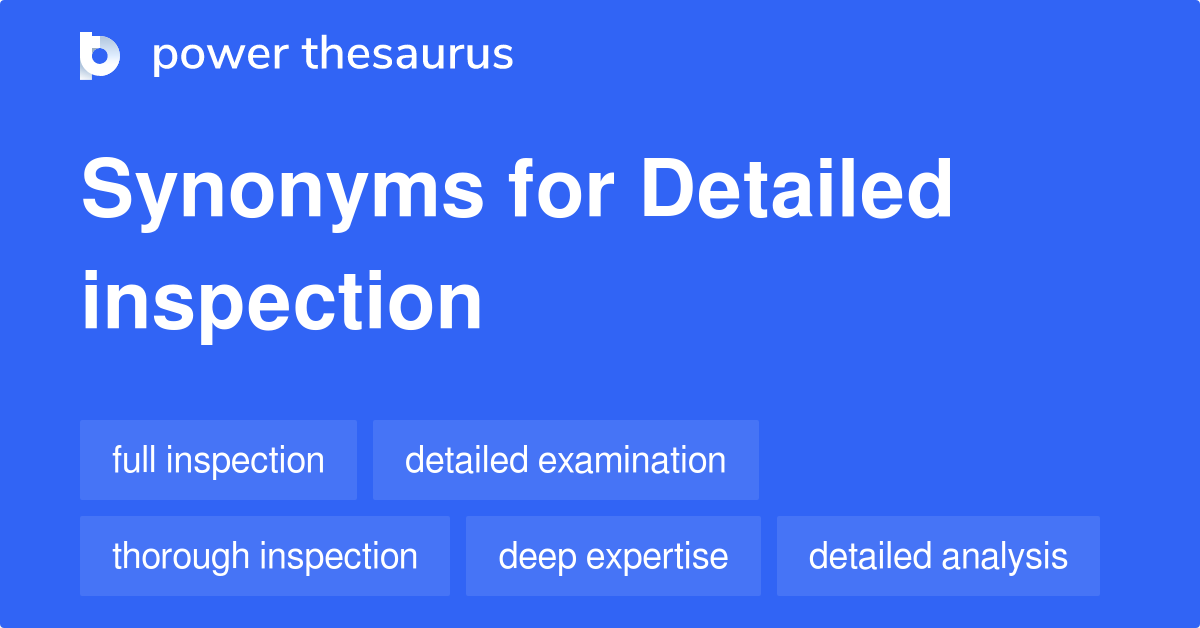 DETAILED INSPECTION Synonyms: 309 Similar Phrases