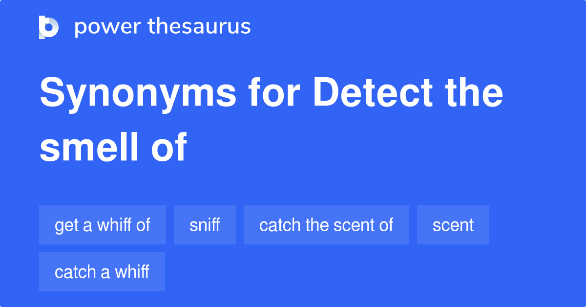 Detect The Smell Of synonyms - 55 Words and Phrases for Detect The Smell Of