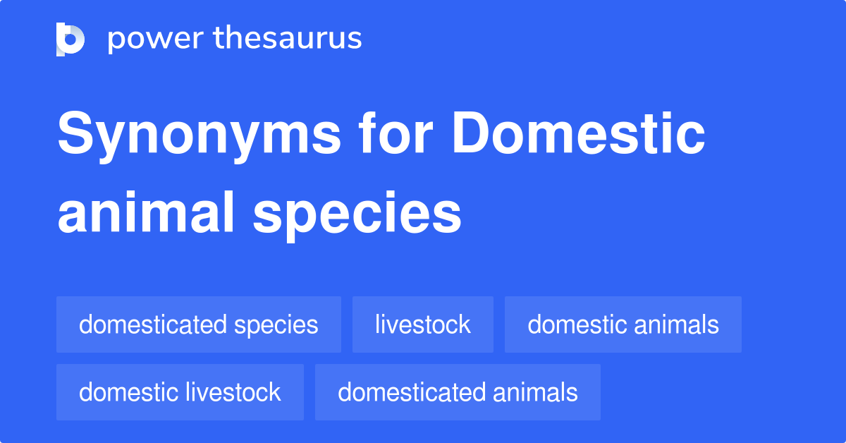Domestic Animal Species synonyms - 52 Words and Phrases for Domestic ...