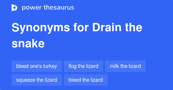 DRAIN THE SNAKE Synonyms: 277 Similar Words & Phrases