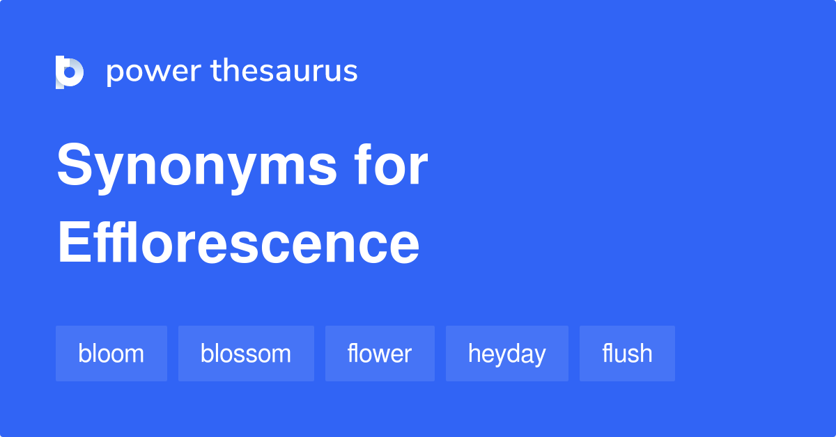 235 EFFLORESCENCE Synonyms