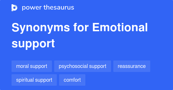 EMOTIONAL SUPPORT Synonyms: 654 Similar Words & Phrases