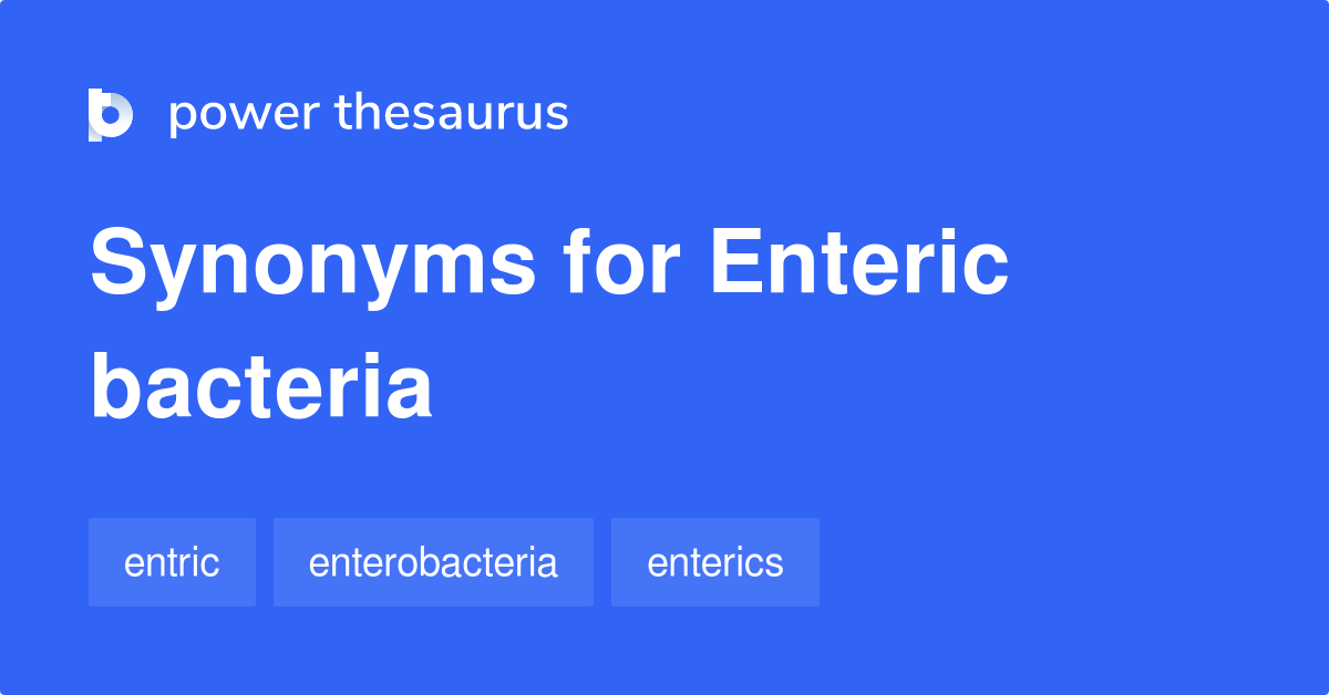 Enteric Bacteria synonyms - 13 Words and Phrases for Enteric Bacteria