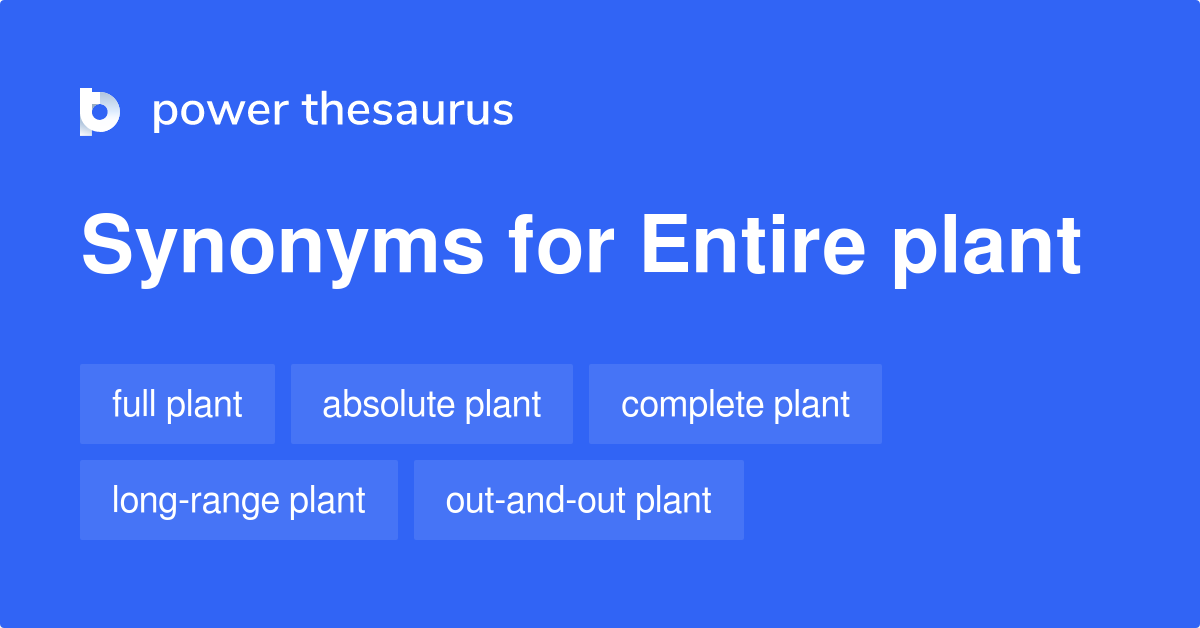 ENTIRE PLANT Synonyms: 32 Similar Phrases