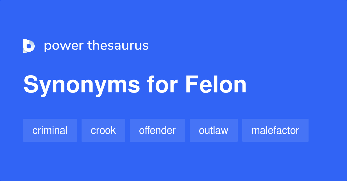 FELON Synonyms: 711 Similar Words & Phrases
