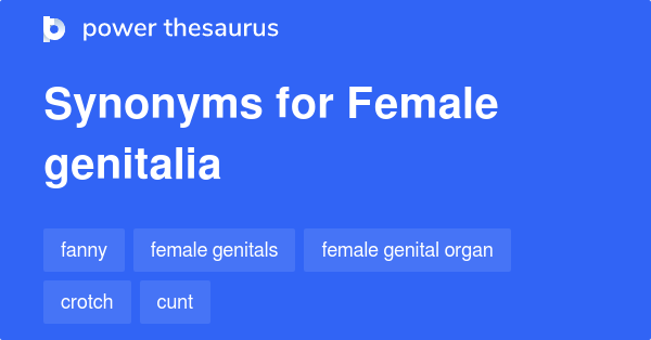 FEMALE GENITALIA Synonyms: 104 Similar Words & Phrases