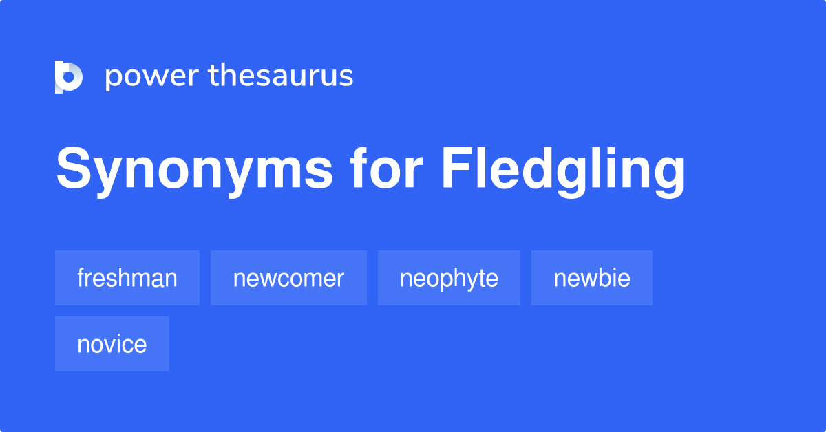 FLEDGLING Synonyms: 1 002 Similar Words & Phrases