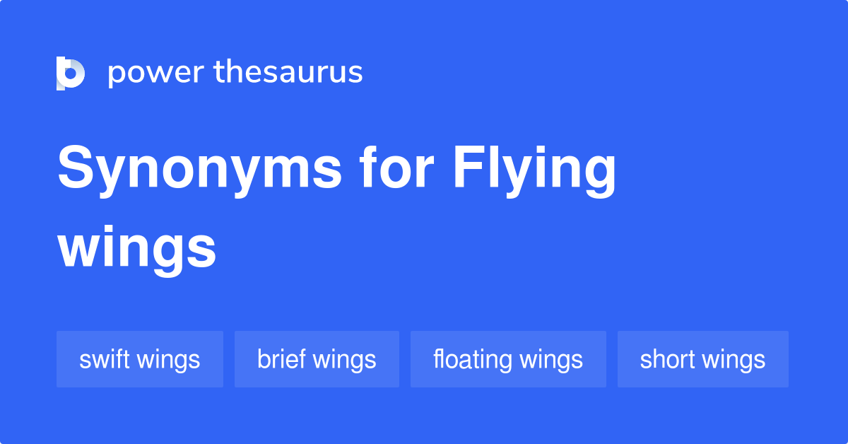 FLYING WINGS Synonyms: 56 Similar Phrases