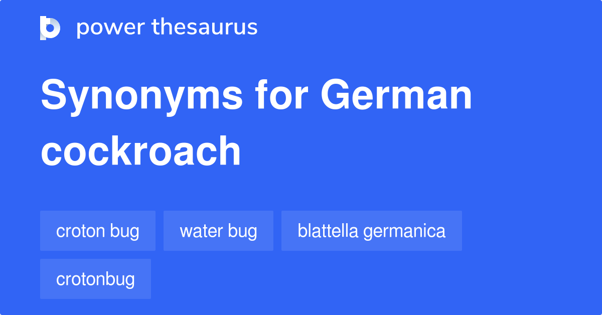 German Cockroach synonyms - 5 Words and Phrases for German Cockroach