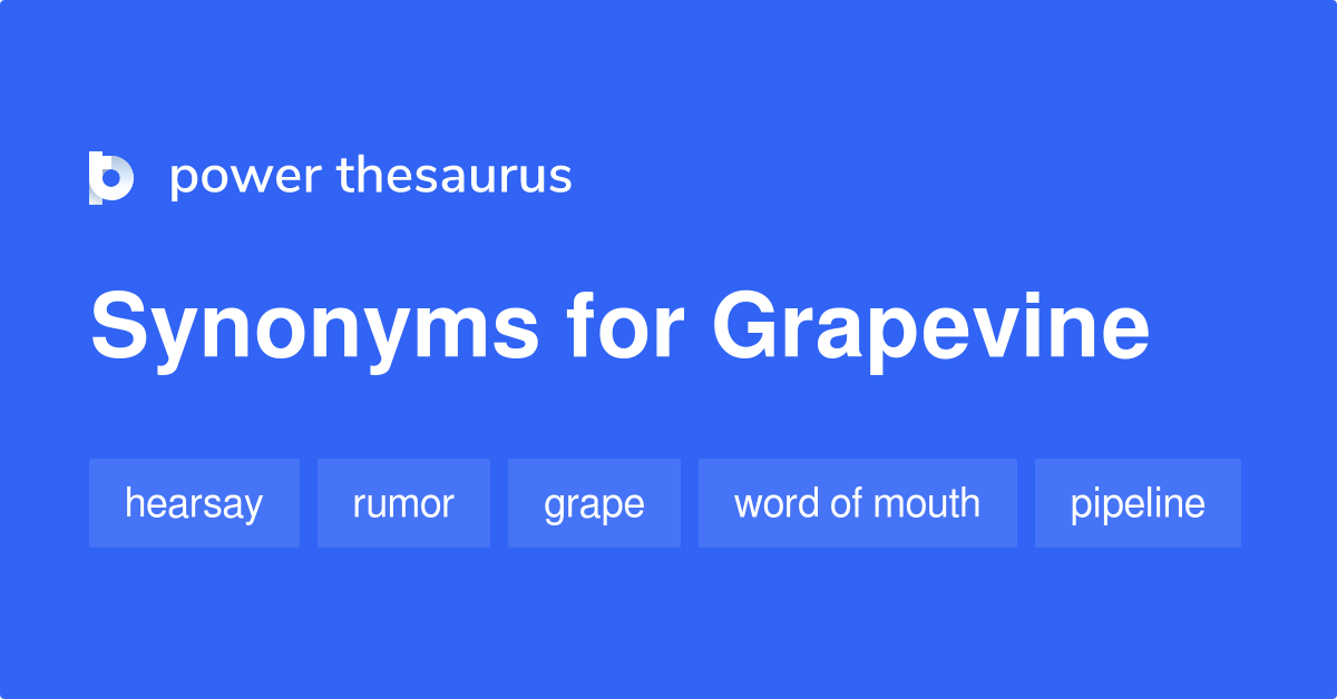 689 GRAPEVINE Synonyms