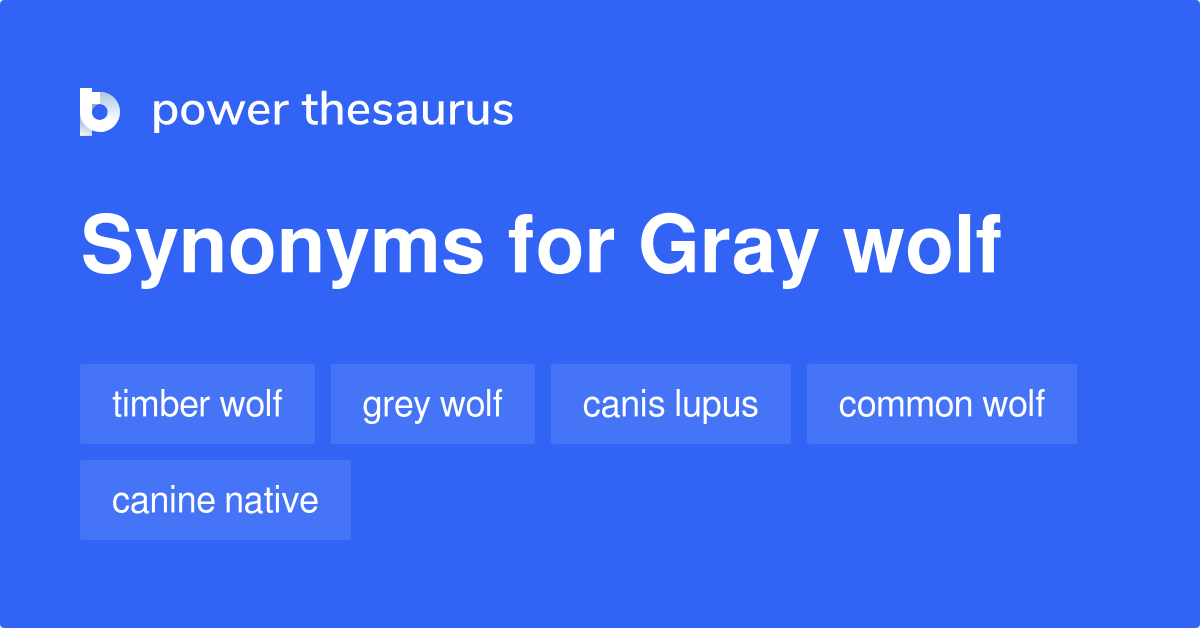 GRAY WOLF Synonyms: 100 Similar Words & Phrases