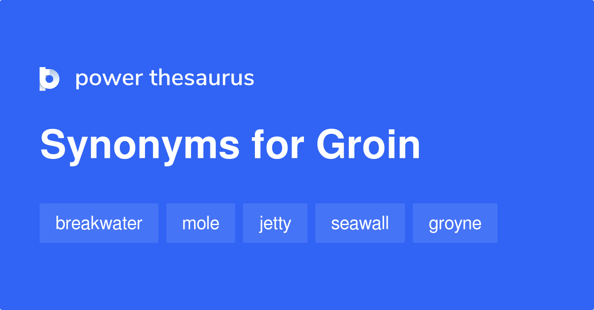GROIN Synonyms: 433 Similar Words & Phrases