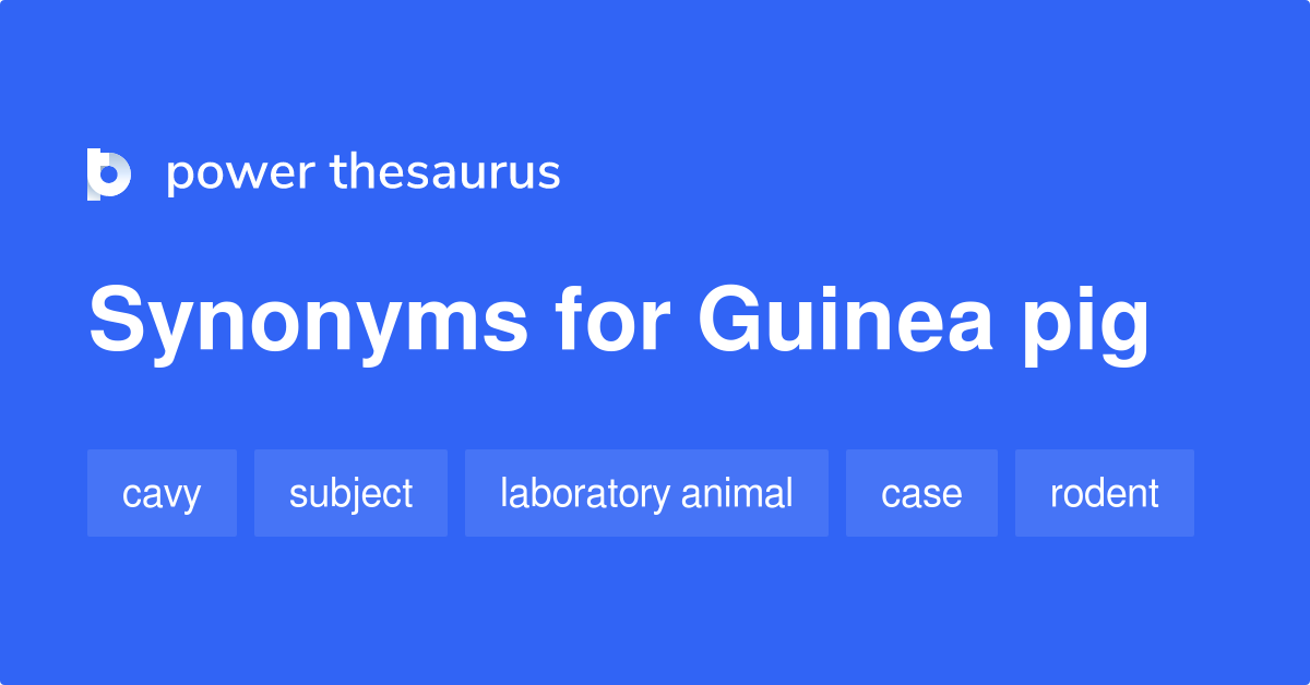 GUINEA PIG Synonyms: 293 Similar Words & Phrases