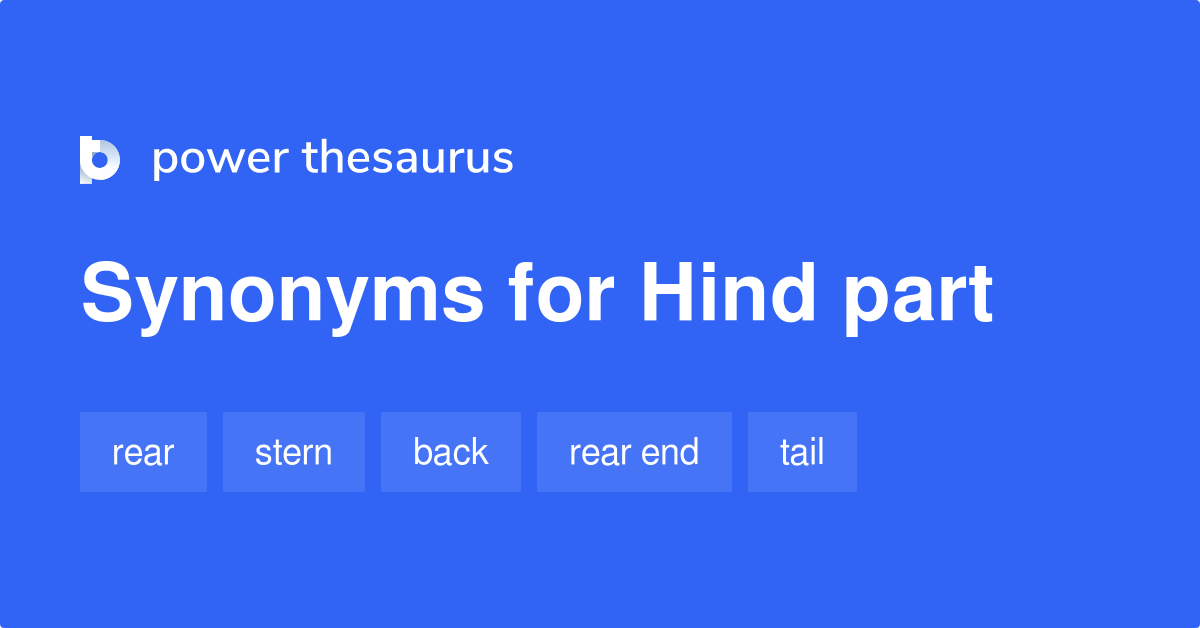 162 HIND PART Synonyms