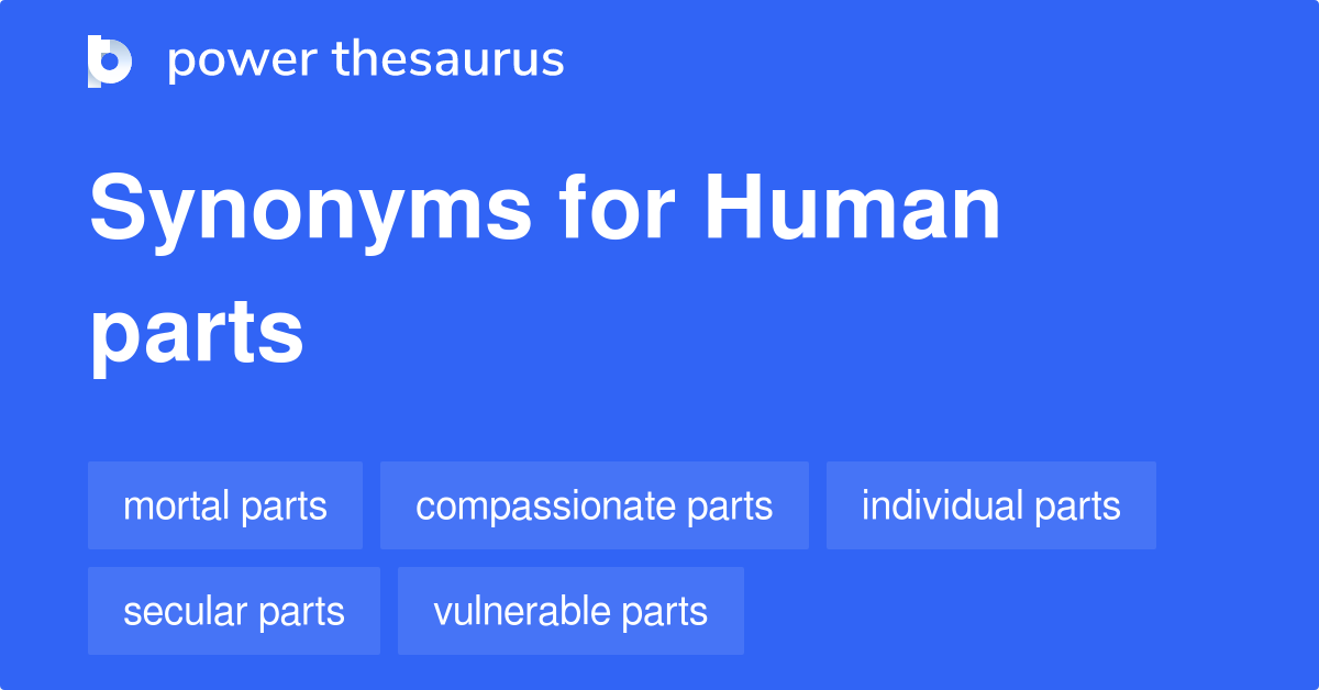 HUMAN PARTS Synonyms: 15 Similar Phrases