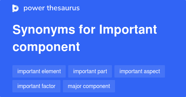 IMPORTANT COMPONENT Synonyms: 257 Similar Phrases