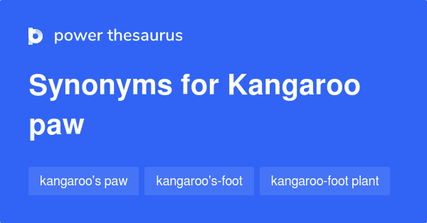 KANGAROO PAW Synonyms: 51 Similar Words & Phrases