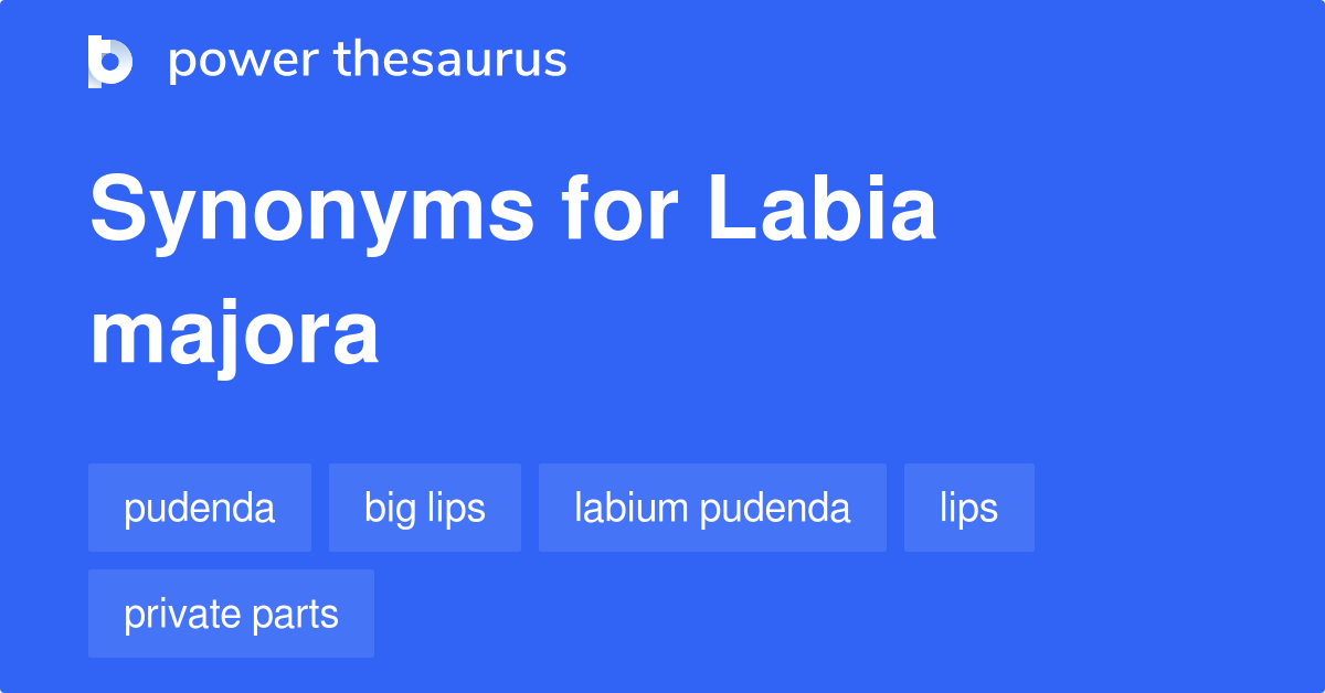 Labia Majora synonyms - 69 Words and Phrases for Labia Majora