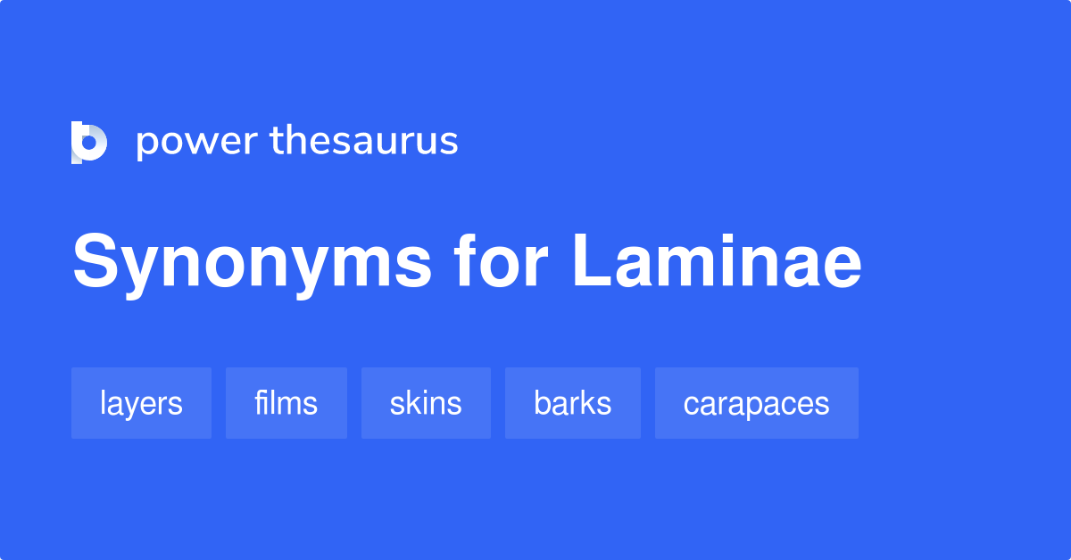 Laminae synonyms - 53 Words and Phrases for Laminae